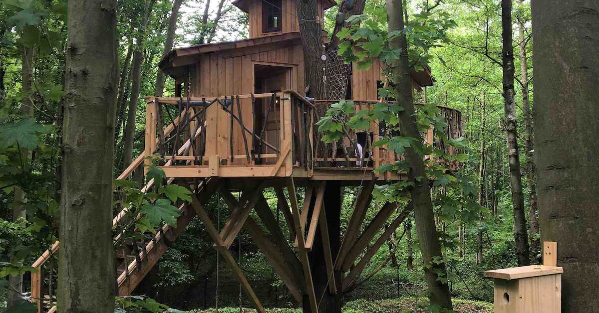 Baumhaus selber bauen - ultimative Tipps & Tricks 2022 • zukunftswaende.de