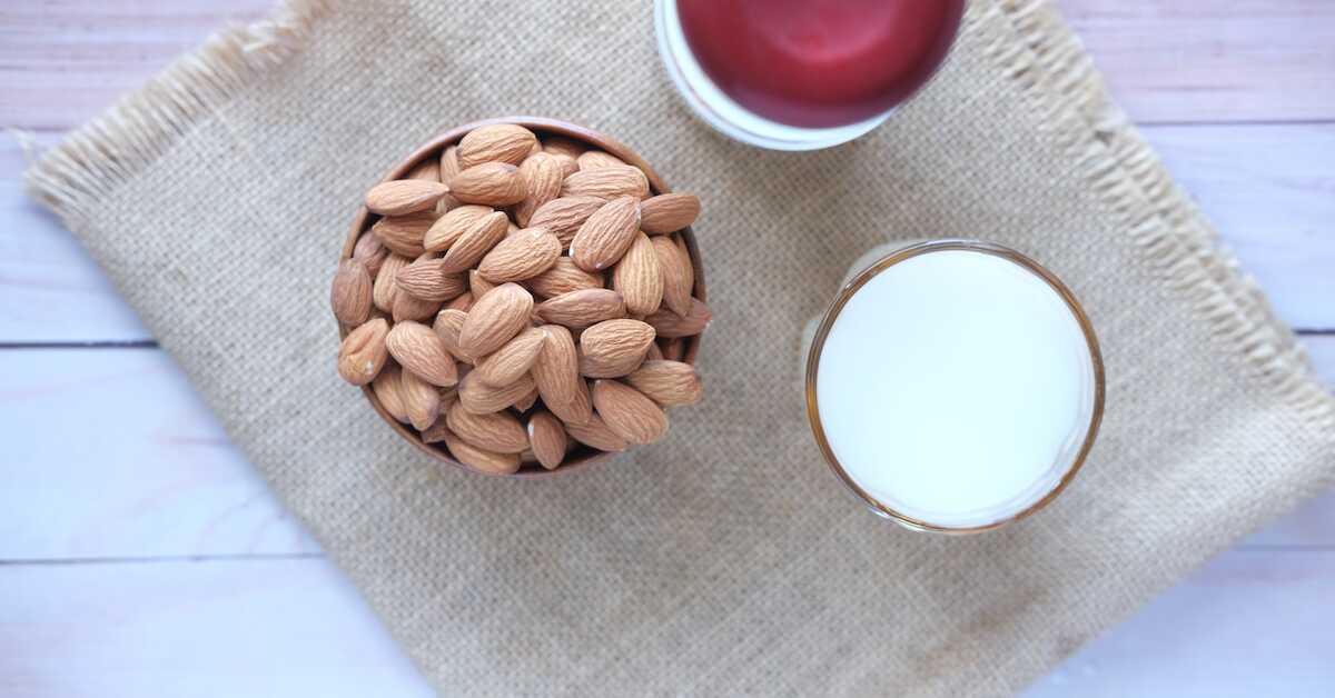 Pflanzenmilch selber machen: Wir zeigen, wie es geht! • zukunftswaende.de